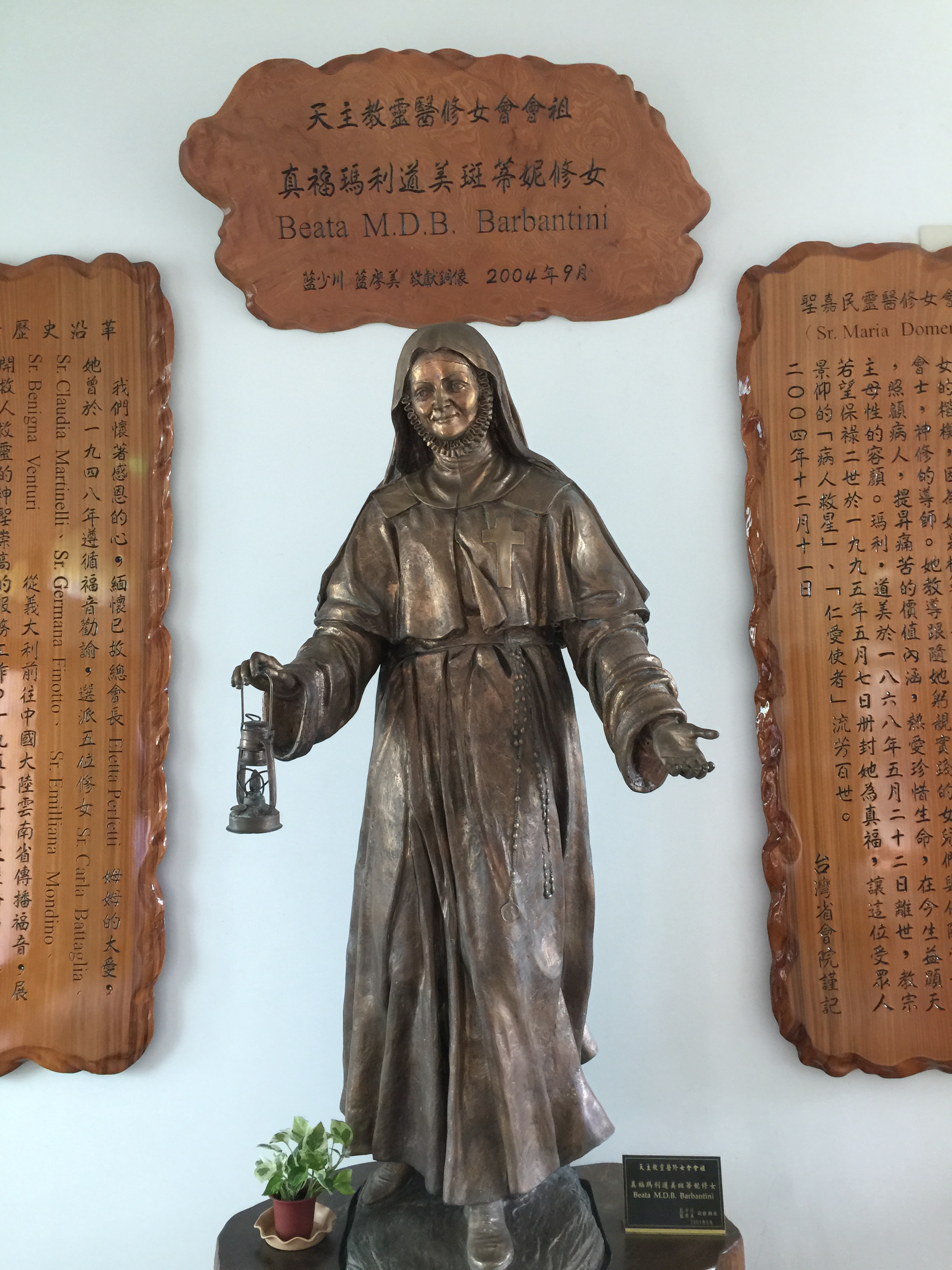 Maria Domenica Barbantini: The Woman and the Saint | Ministers of the Sick