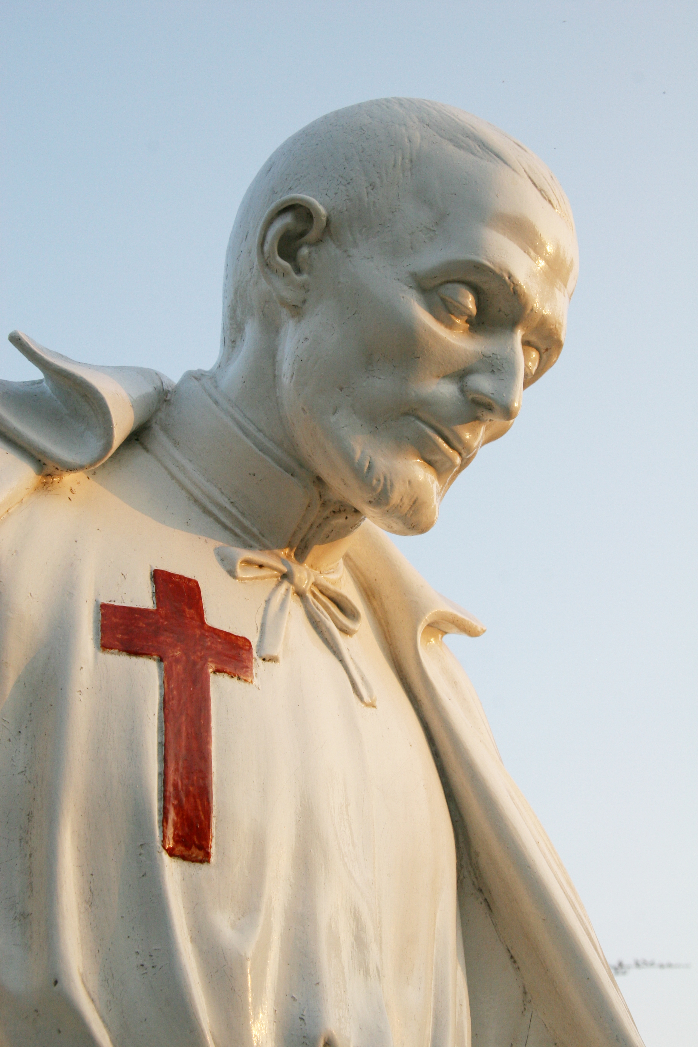The Personality of St. Camillus de Lellis: Nature and Grace | Ministers ...