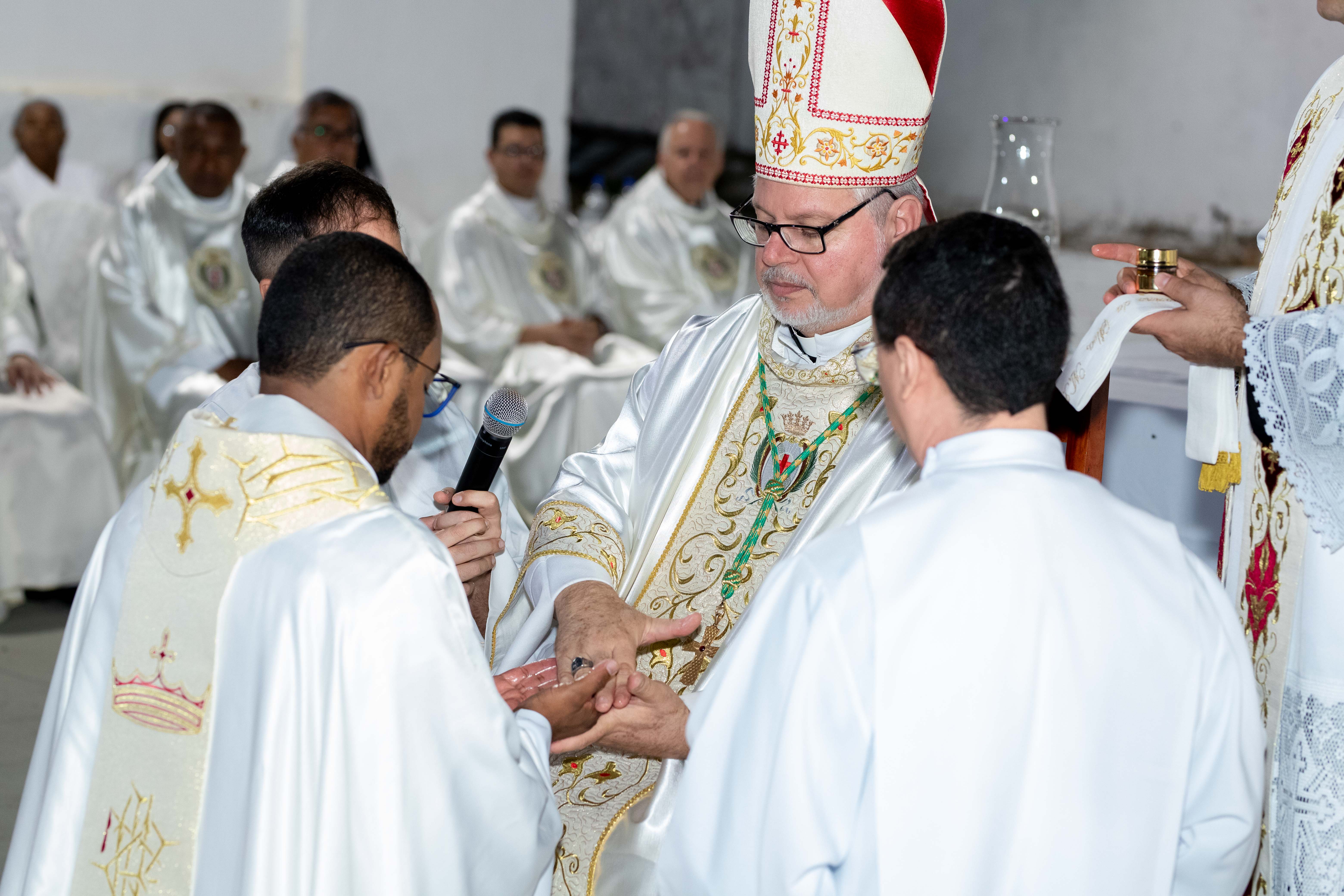 The Camillian Province of Brazil celebrates the priestly ordination of ...